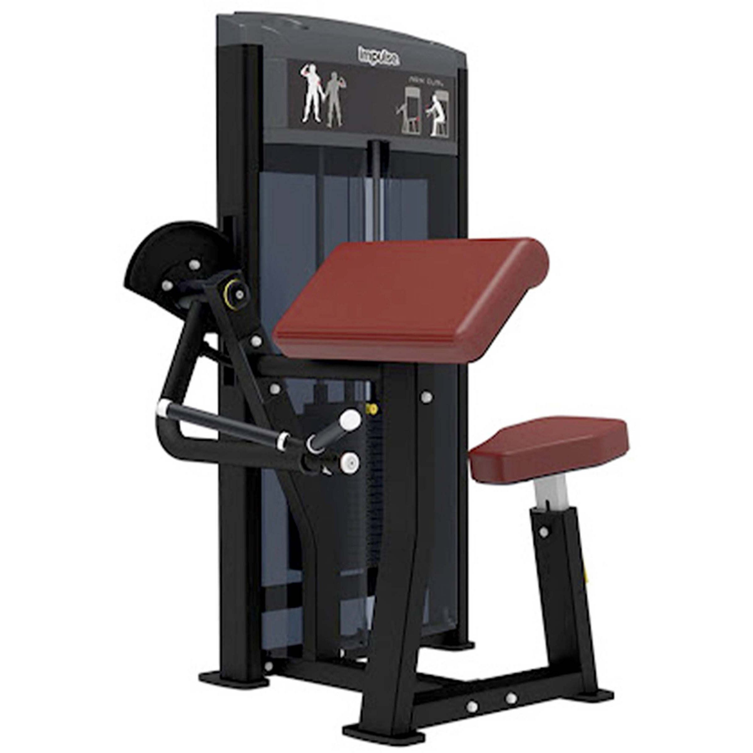 Impulse Fitness Bicep Curl IF9303 | Active Fitness Store
