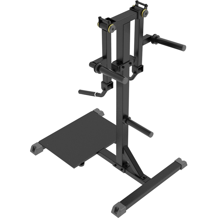 Impulse Fitness IFP1103 Standing Lateral Raise | Active Fitness Store