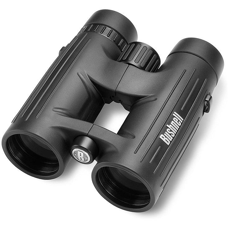 Bushnell 8x42 Excursion Ex Binocular, Wtp/Fp Open Bridge Binoculars ...