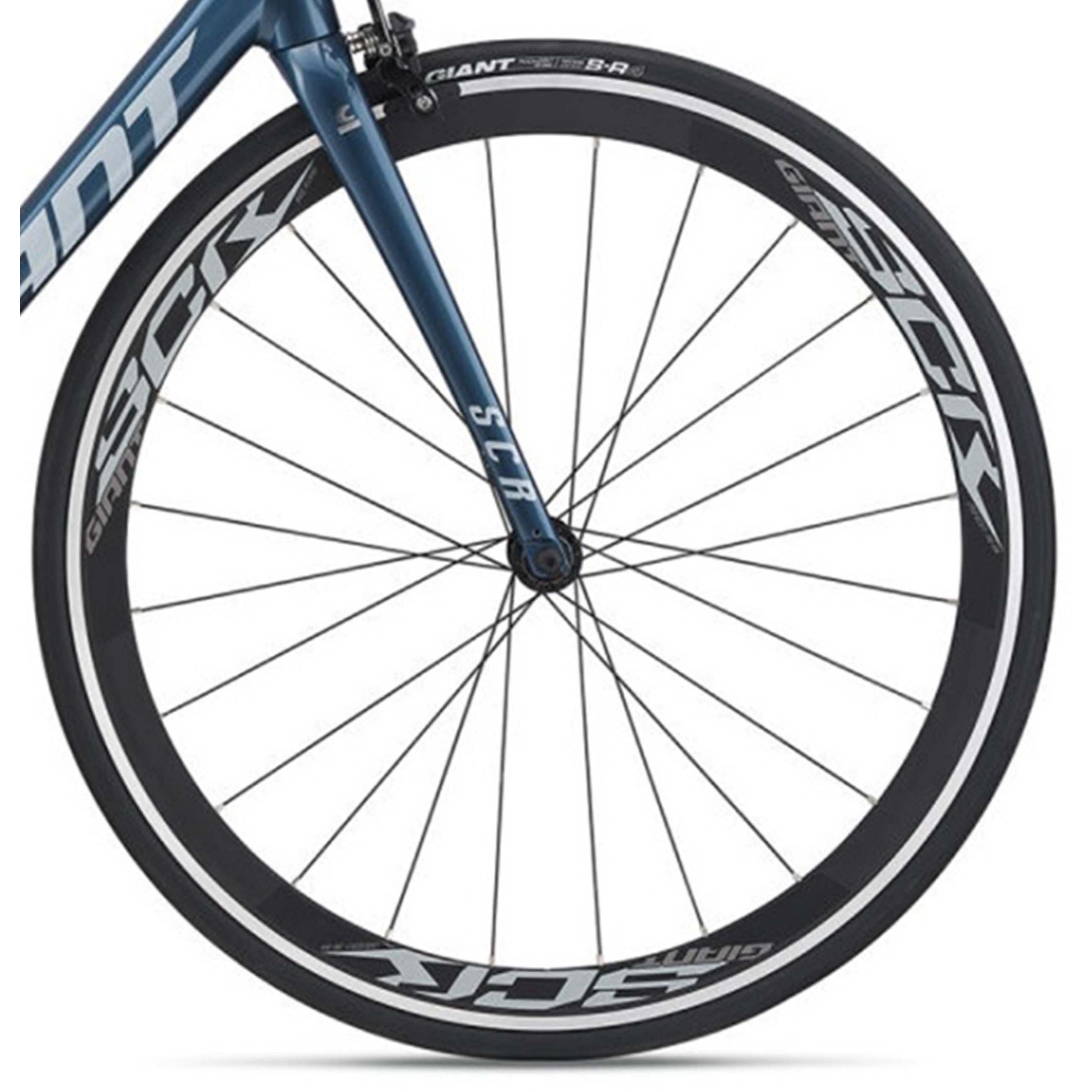 GIANT SCR Blue | Active Fitness Store