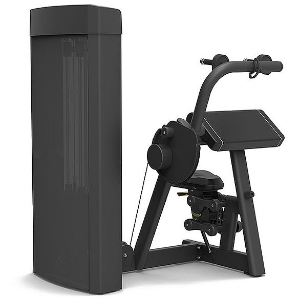 Spirit Fitness Triceps Extension | Active Fitness Store