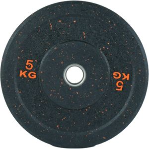 Anvil Rubber Bumper Plate-5kg to 20kg | Active Fitness Store