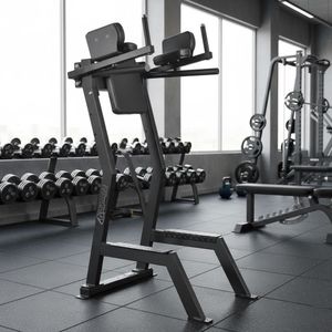 Gymleco Leg Raise with Dip Bar with Commercial Stability | Active ...